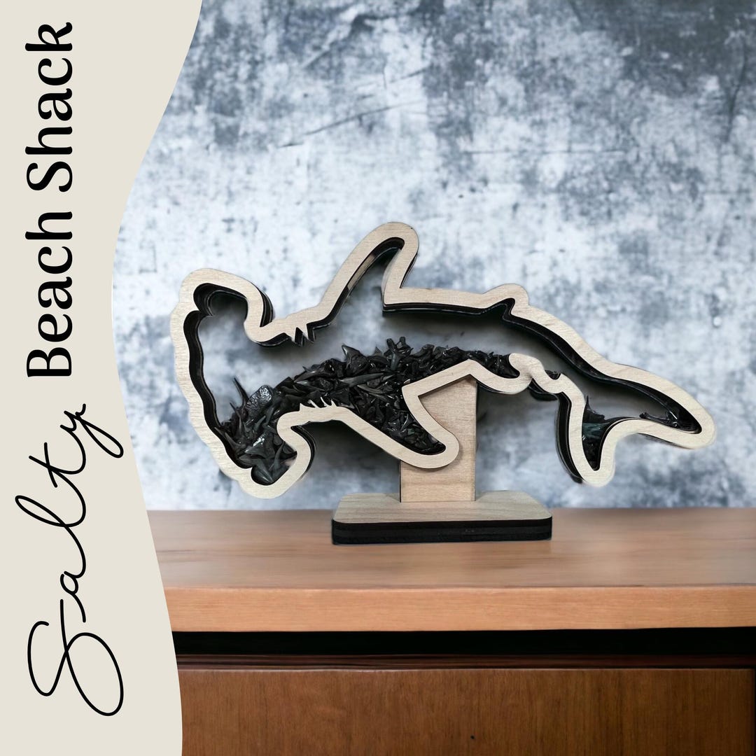 Clear View Hammerhead Shark Shadow Box for Shark Teeth, Small Shells ...