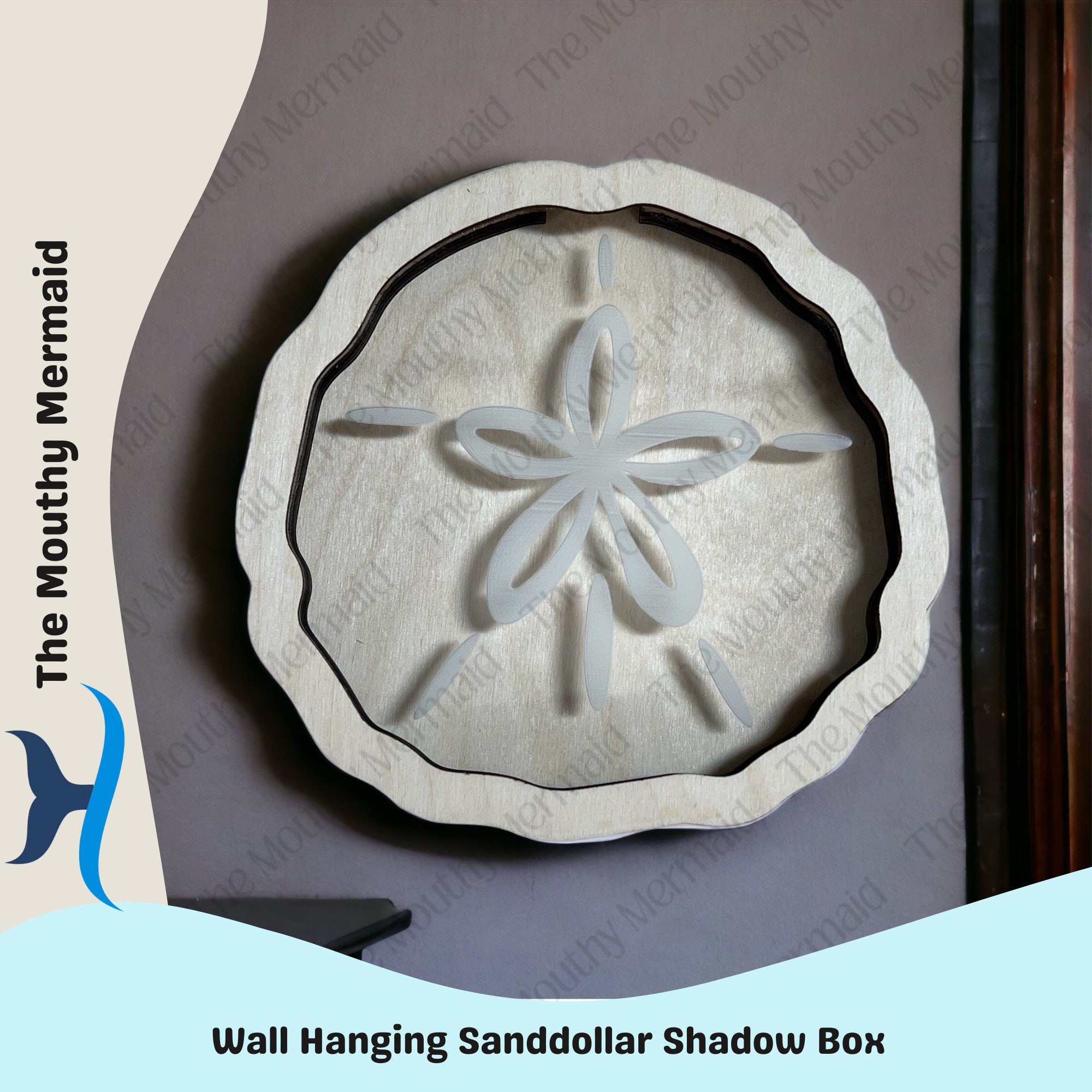 Sand Dollar WALL HANGING Shadow Box for Shark Teeth Small - Etsy