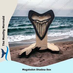 Shark Teeth MEGALODON Shadow Box for Shark Teeth, Small Shells, Fossils ...