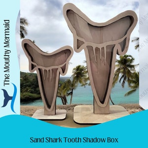 Sand Shark Tooth Shadow Box for Shark Teeth, Small Seashells, Fossils ...