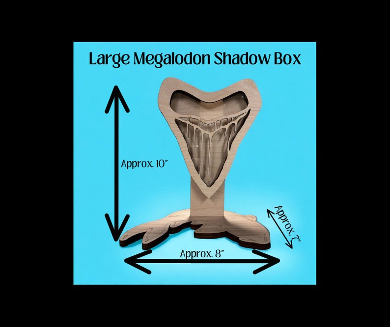 Shark Tooth Megalodon Shadow Box for Shark Teeth Small - Etsy