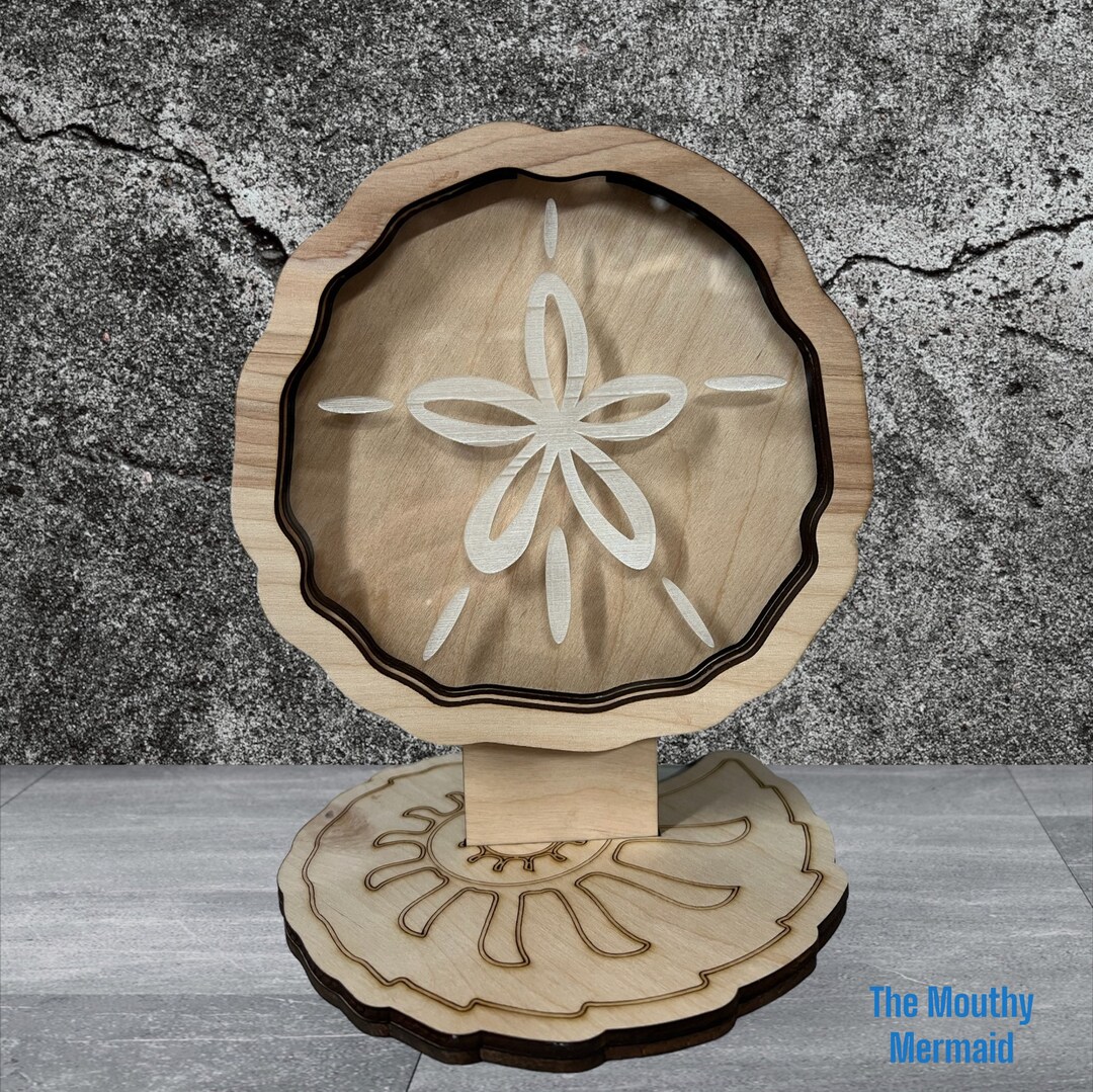 Sand Dollar Shadow Box for Shark Teeth Small Seashells Beach - Etsy