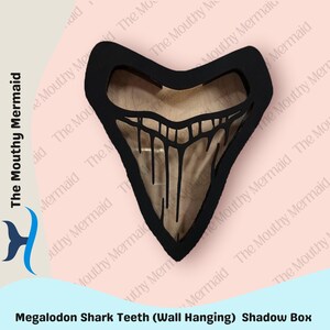 Shark Teeth MEGALODON (wall Hanging) Extra Large Shadow Box for Shark ...