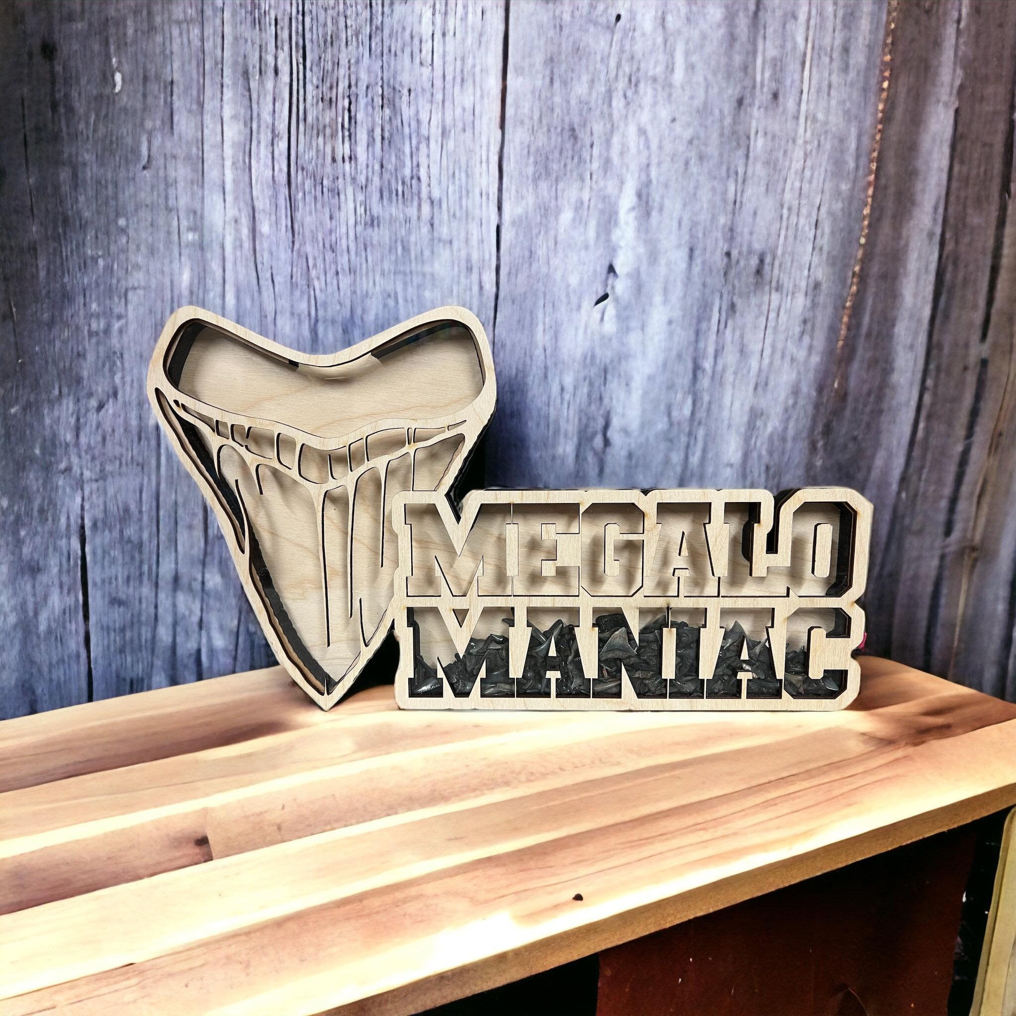 Megalo Maniac Megalodon Shadow Box for Shark Teeth Small - Etsy