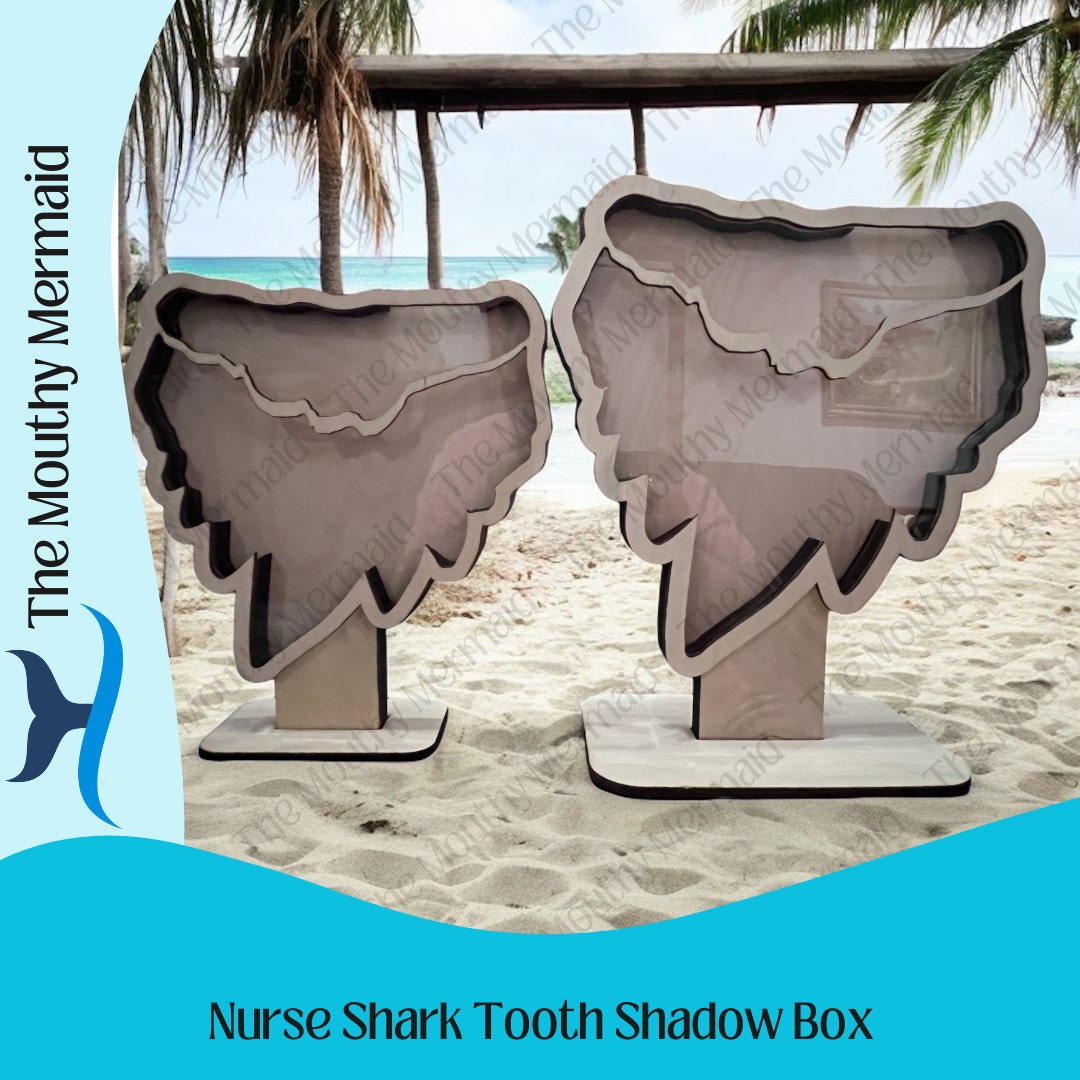 Nurse Shark Tooth Shadow Box for Shark Teeth, Small Seashells, Fossils ...