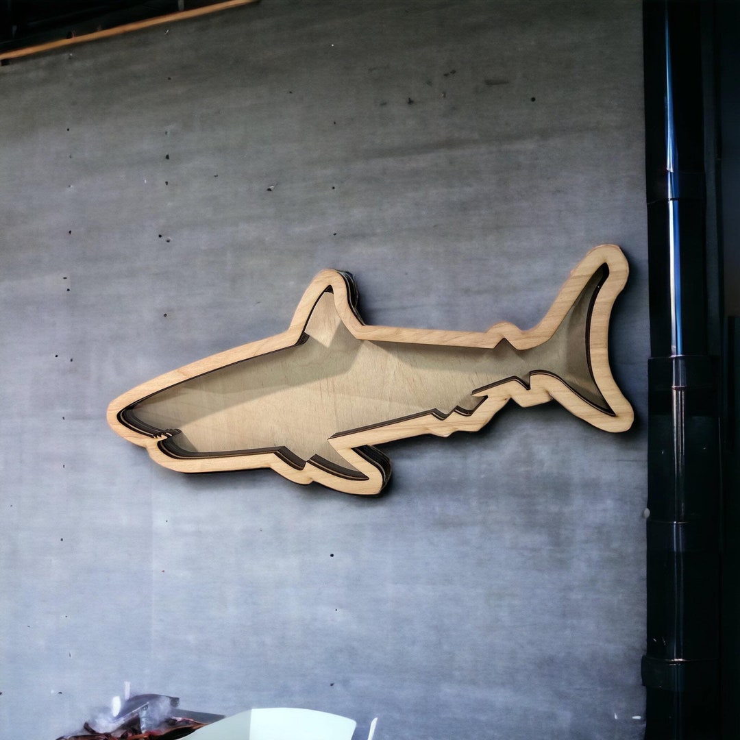 Shark Teeth (wall Hanging) EXTRA LARGE Shadow Box for Shark Teeth ...