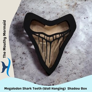Shark Teeth MEGALODON (wall Hanging) Extra Large Shadow Box for Shark ...