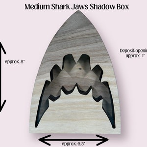Shark JAWS Shadow Box for Shark Teeth, Small Shells, Fossils, Beach ...