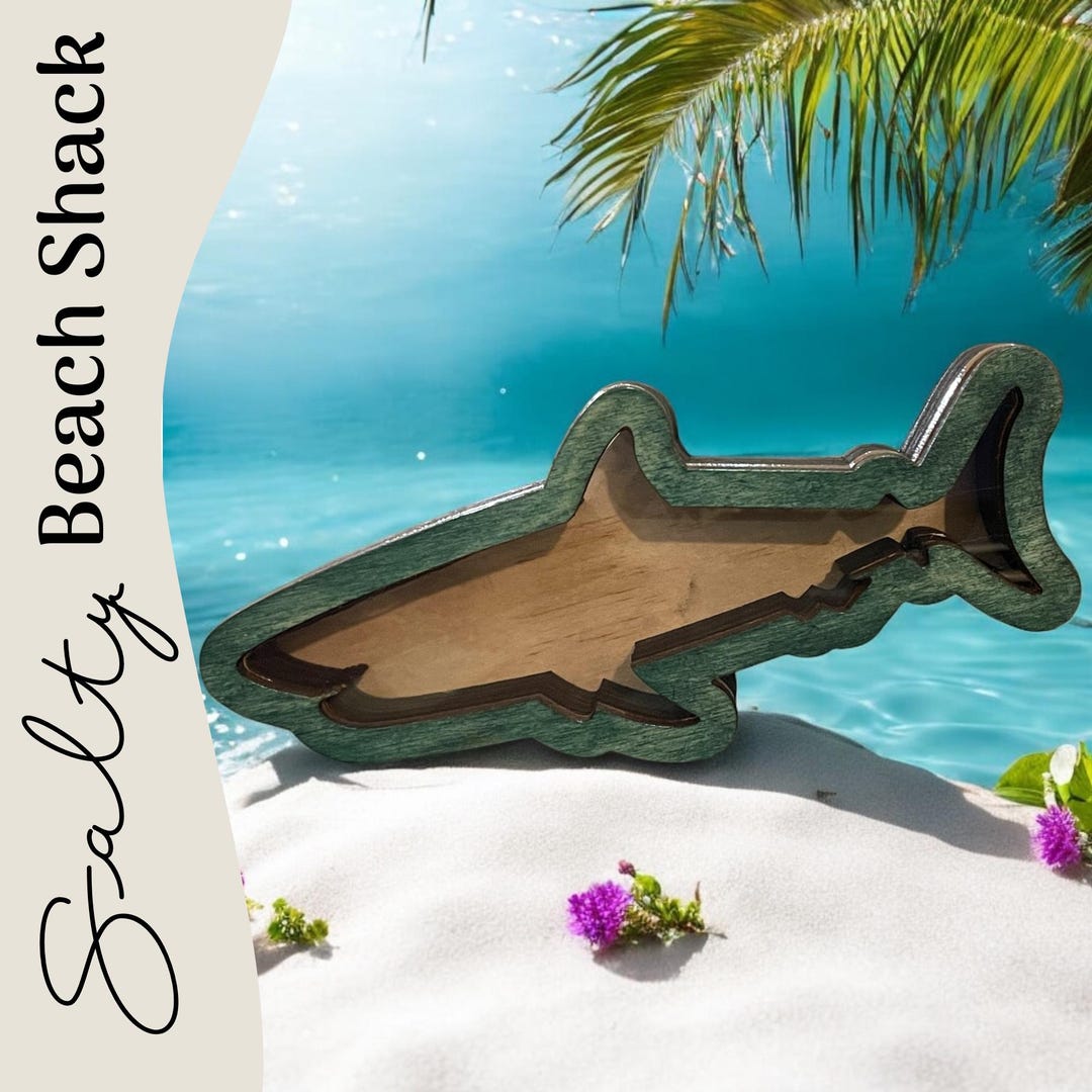 Shark Teeth Shadow Box MINI for Shark Teeth, Small Shells, Fossils ...