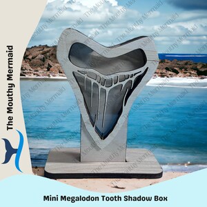 MINI Megalodon Tooth Shadow Box for Shark Teeth, Small Shells, Fossils ...