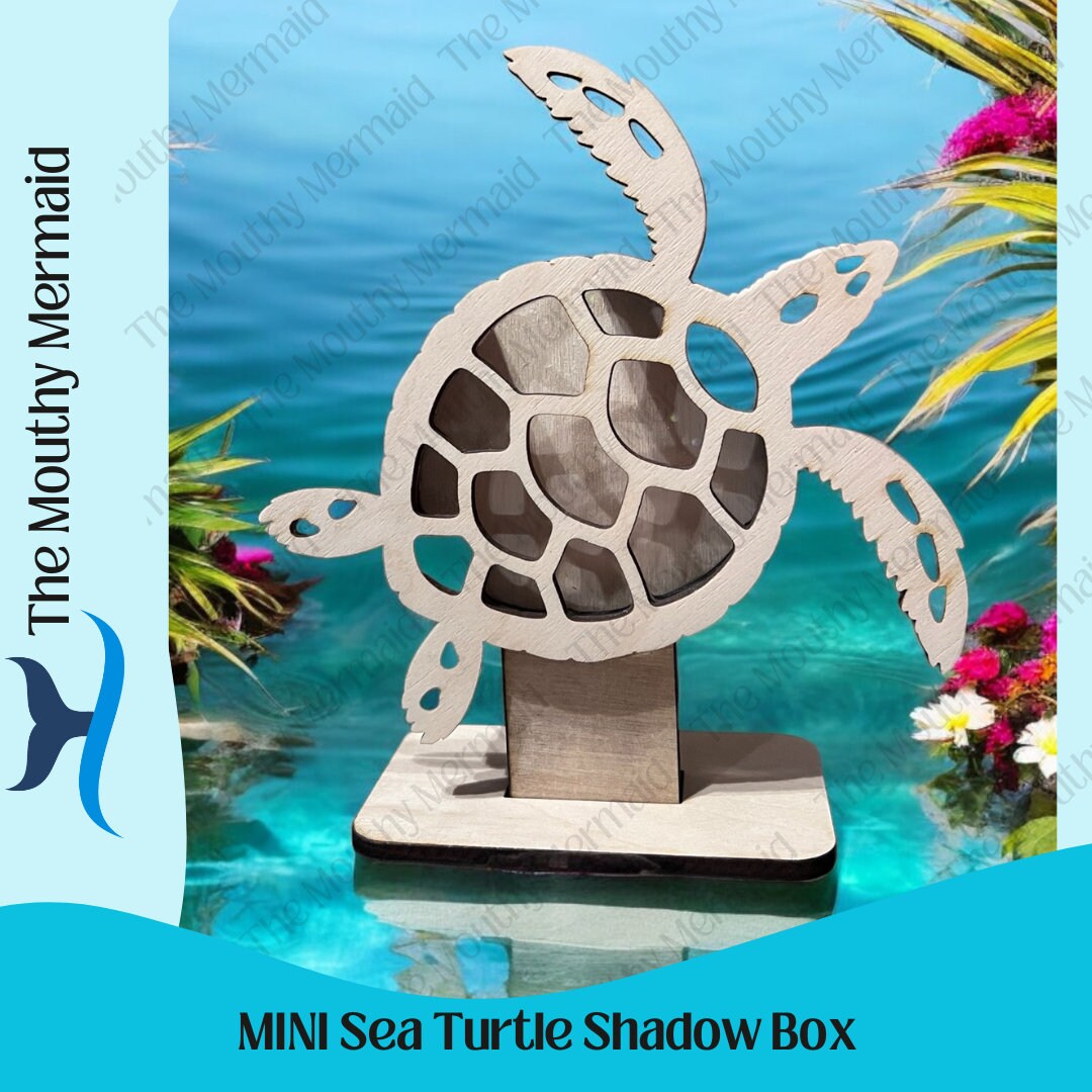 MINI Sea Turtle Shadow Box for Shark Teeth, Small Shells, Fossils ...
