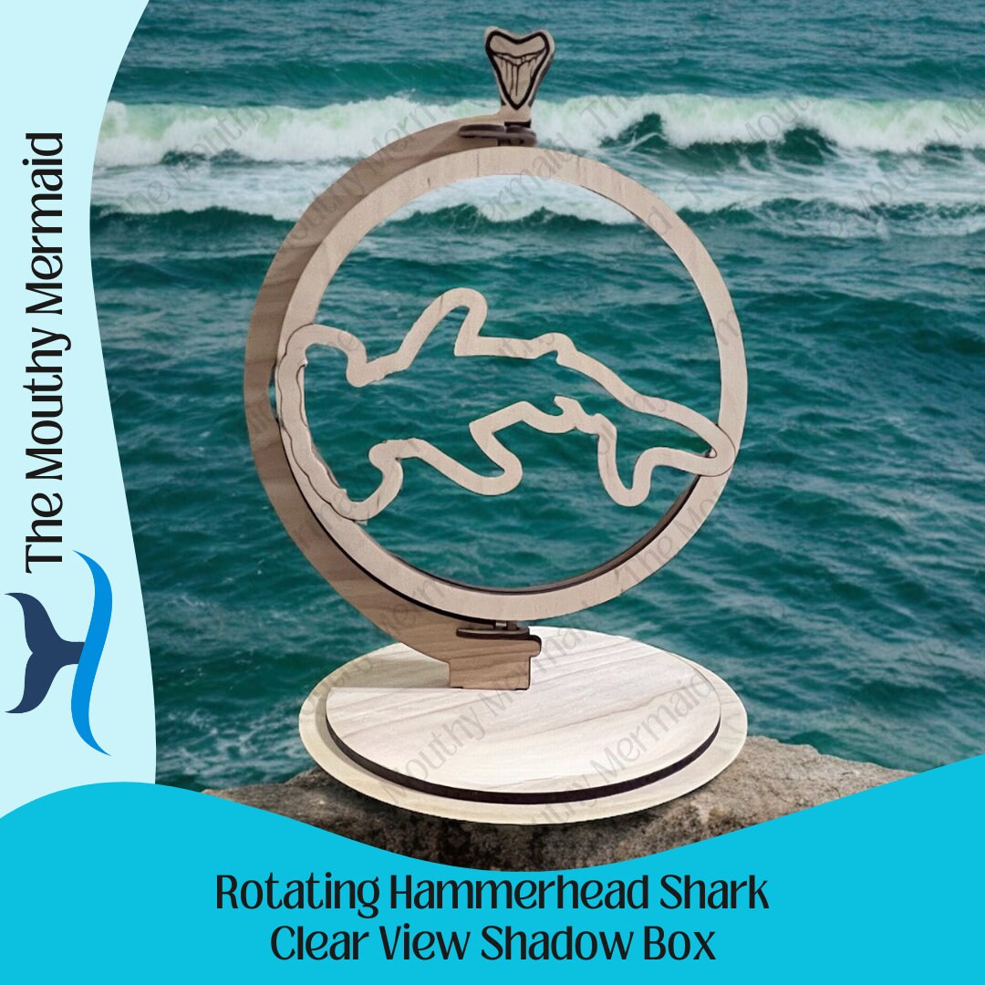Rotating Clear View Hammerhead Shark Shadow Box for Shark Teeth, Small ...