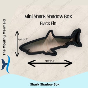 Shark Teeth Shadow Box for Shark Teeth Small Shells Fossils - Etsy