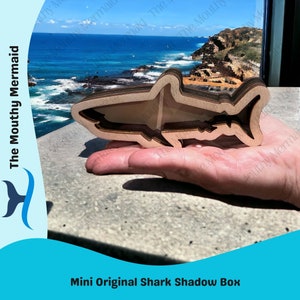 Shark Teeth Shadow Box for Shark Teeth, Small Shells, Fossils, Agates ...