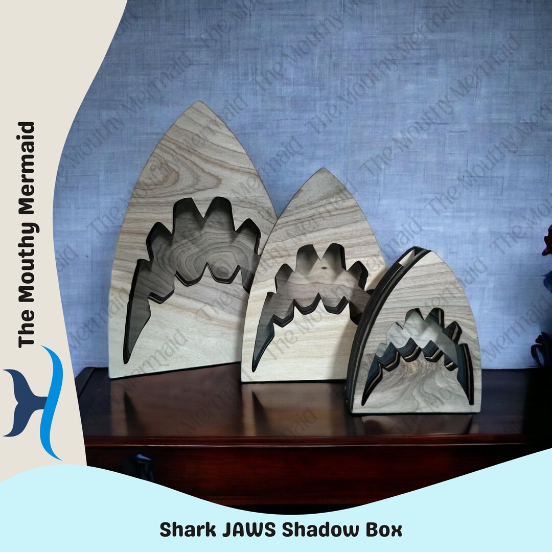 Shark JAWS Shadow Box for Shark Teeth, Small Shells, Fossils, Beach ...