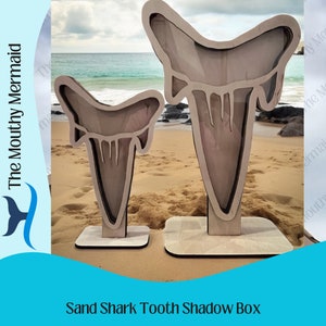 Sand Shark Tooth Shadow Box for Shark Teeth, Small Seashells, Fossils ...