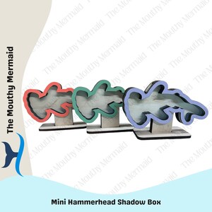 Hammerhead Shark Teeth Shadow Box for Shark Teeth, Small Shells ...