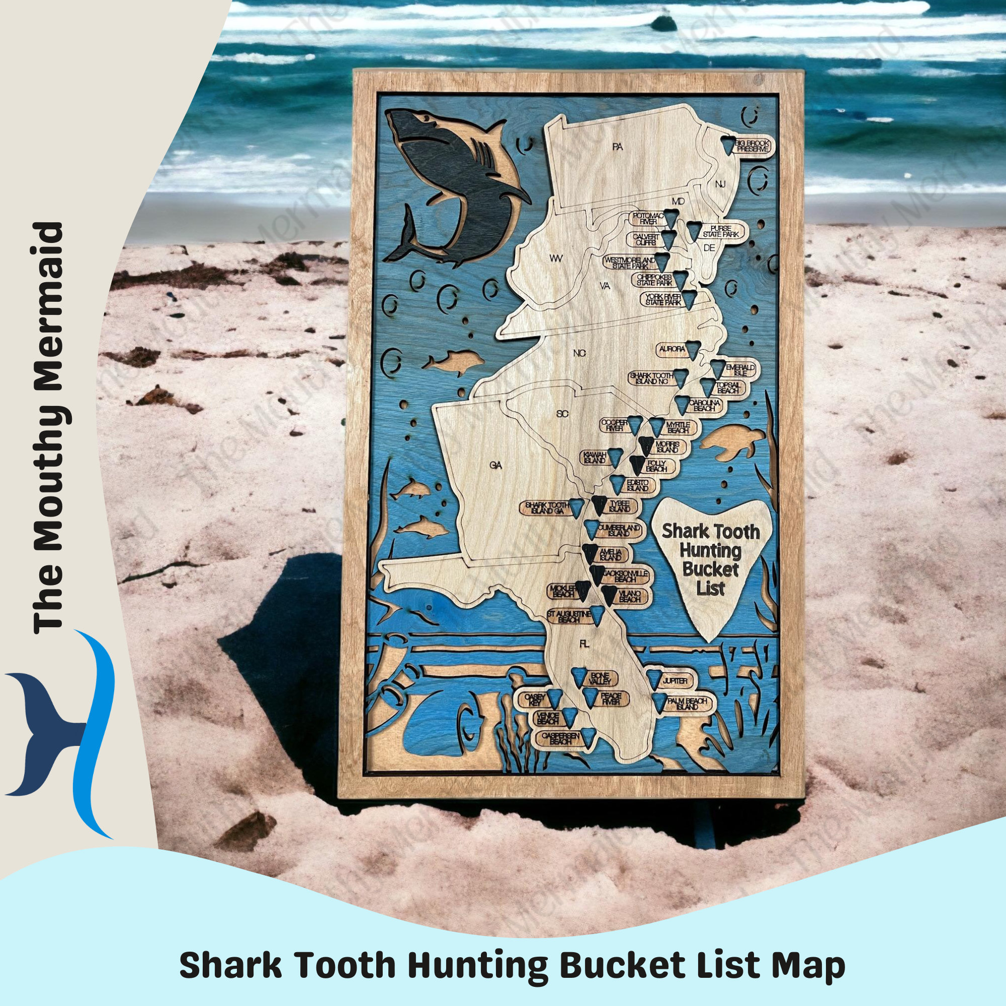 Shark Teeth Hunting Bucket List 3D Map. Shark Tooth Wall - Etsy