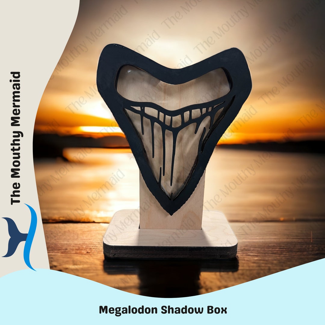 Shark Tooth MEGALODON Shadow Box for Shark Teeth, Small Shells, Fossils ...