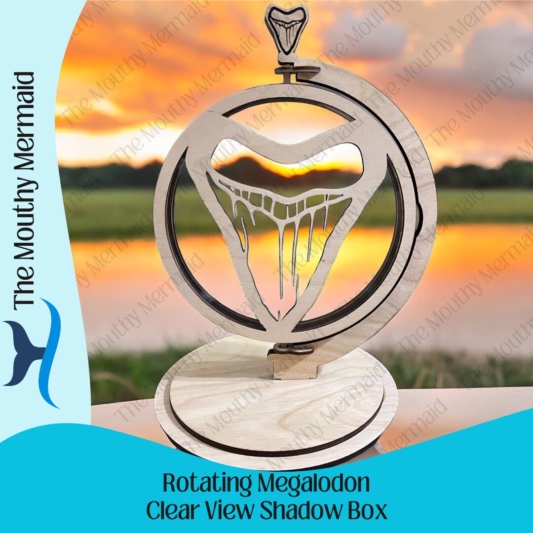 Rotating Clear View Megalodon Shadow Box for Shark Teeth, Small Shells ...