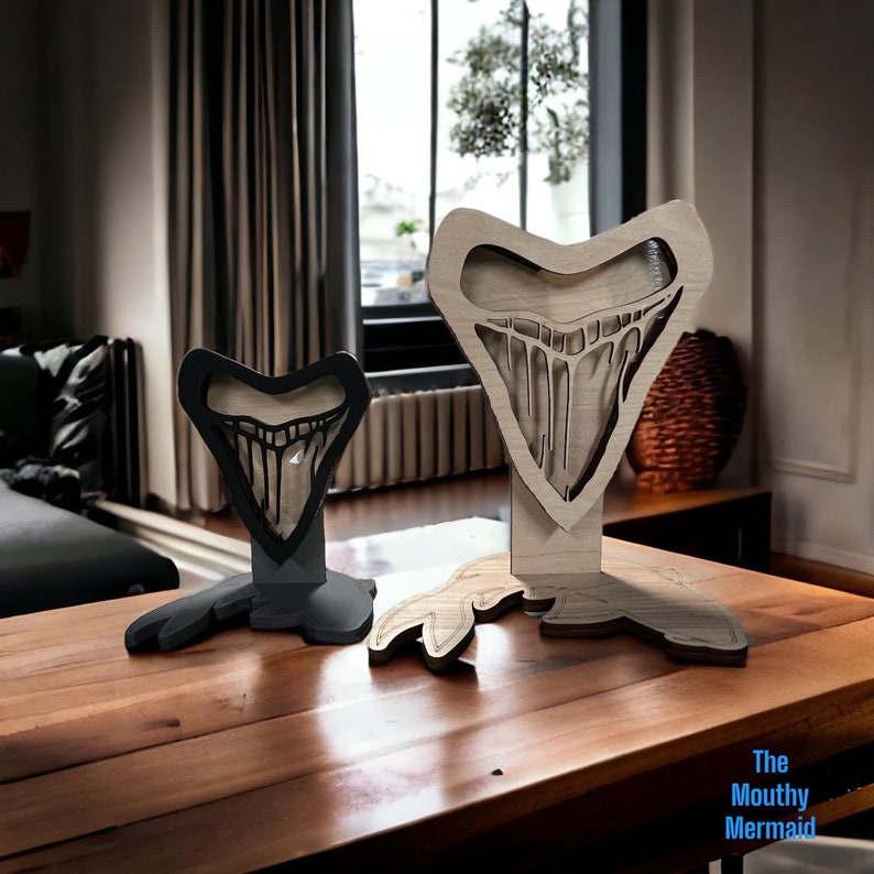 Shark Tooth MEGALODON Shadow Box for Shark Teeth Small - Etsy