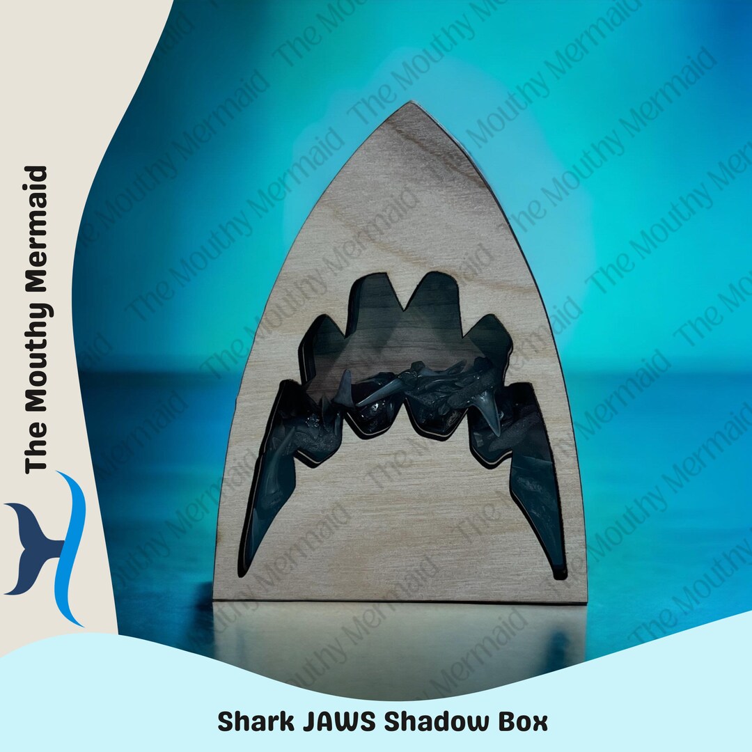 Shark JAWS Shadow Box for Shark Teeth, Small Shells, Fossils, Beach ...