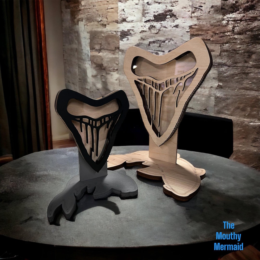Shark Tooth Megalodon Shadow Box for Shark Teeth Small - Etsy