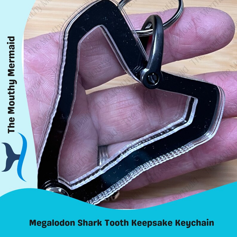 Megalodon Shark Tooth Keychain Fillable Keychain Shaker - Etsy