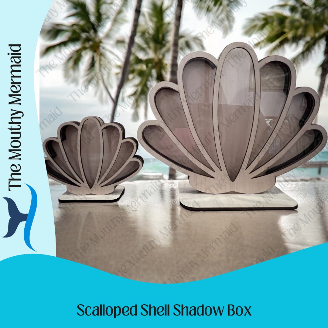 Scalloped Seashell Shadow Box for Your Seashells, Agates, Sea Glass ...