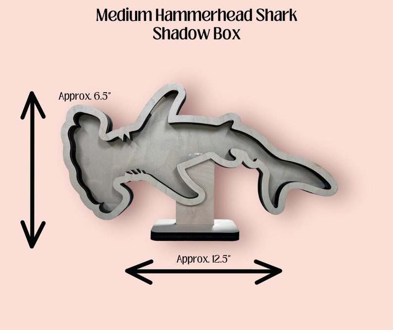 Hammerhead Shark Shadow Box for Shark Teeth Small Shells - Etsy