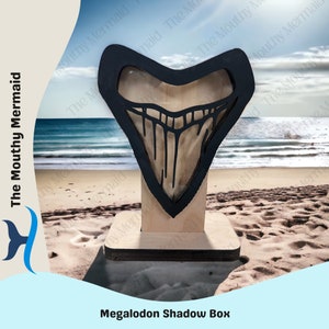 Shark Teeth MEGALODON Shadow Box for Shark Teeth, Small Shells, Fossils ...