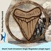 Shark Tooth Identification Guide medium. Shark Teeth Guide. Shark Tooth ...