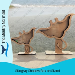 Stingray Shadow Box for Your Stingray Barb Fossils, Seashells, Agates ...