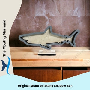 Original Shark Teeth Shadow Box ON STAND for Shark Teeth, Small Shells ...