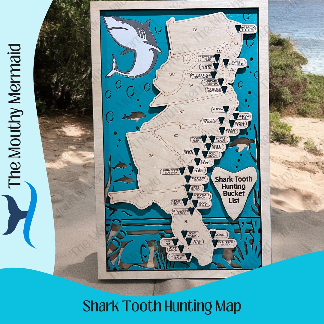Emerald Seas Shark Teeth Hunting Bucket List 3D Map. Wall Hanging, Wall ...