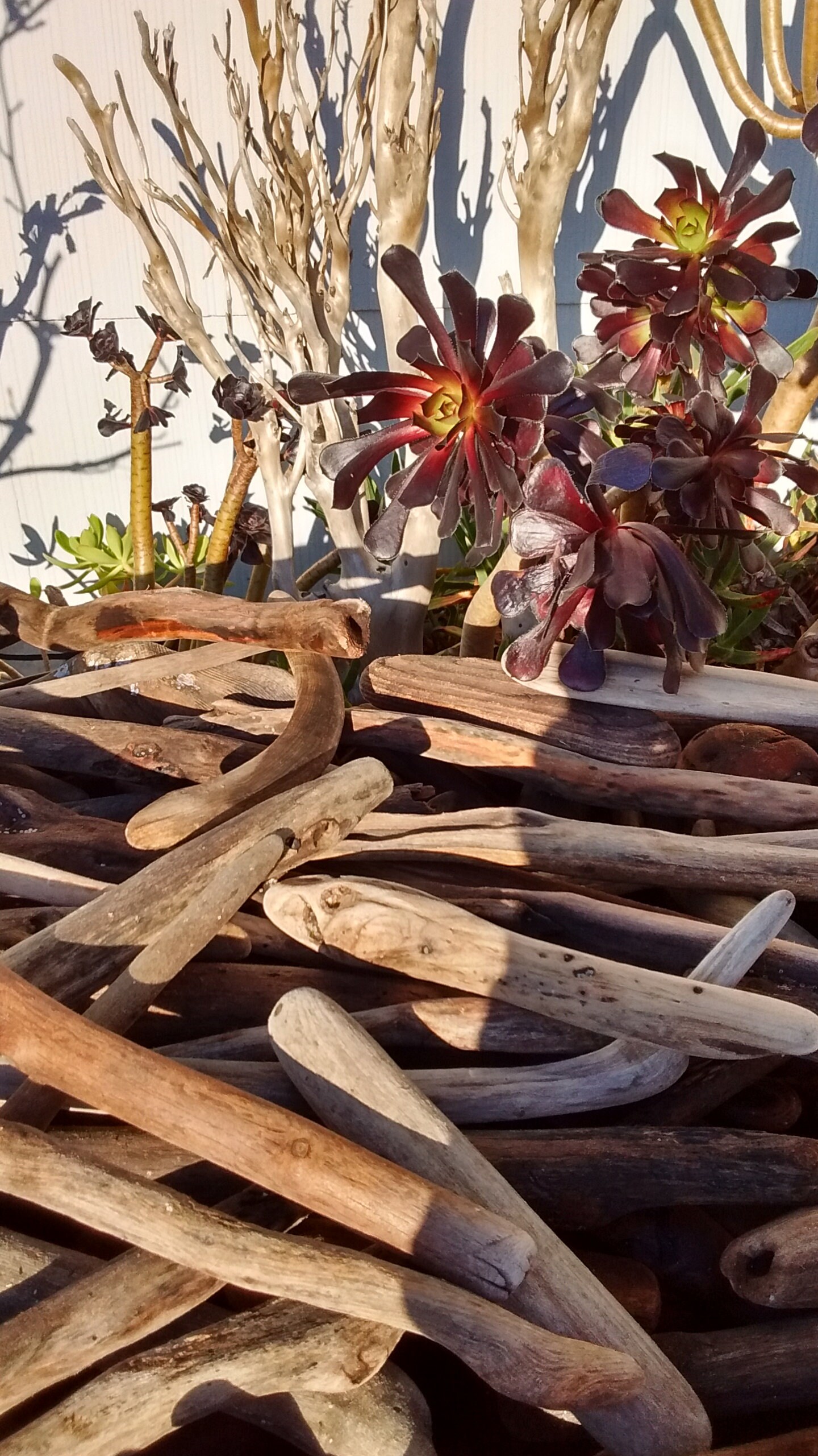 YOU CHOOSE SIZE 18 Size-range Driftwood Pieces,natural Driftwood for ...