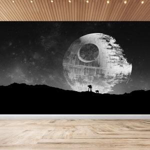 Star Wars, Death Star Wall Mural | Sci-fi | Peel & Stick Wallpaper ...
