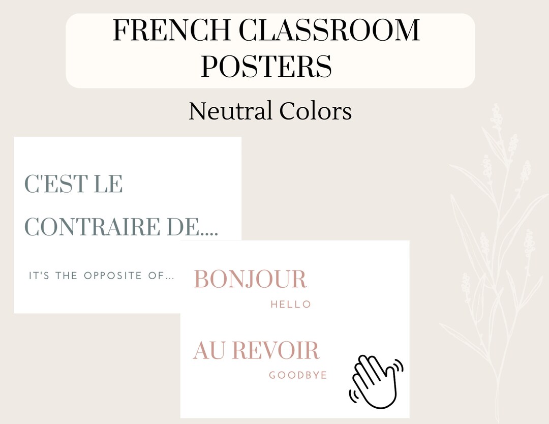French Classroom Posters Neutral - Etsy