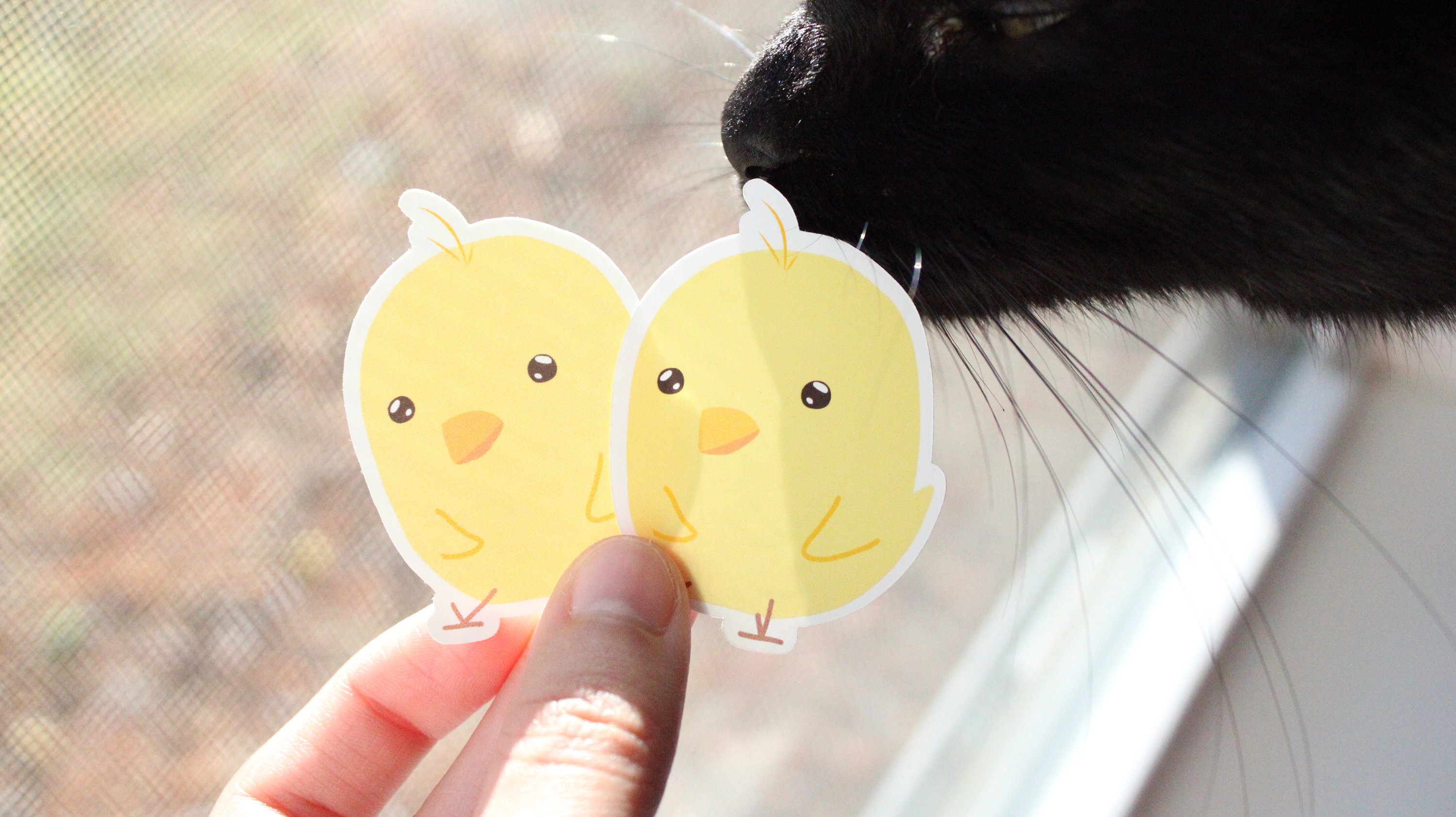 Cute Baby Chick Sticker! Weatherproof Matte/glossy Stickers - Etsy