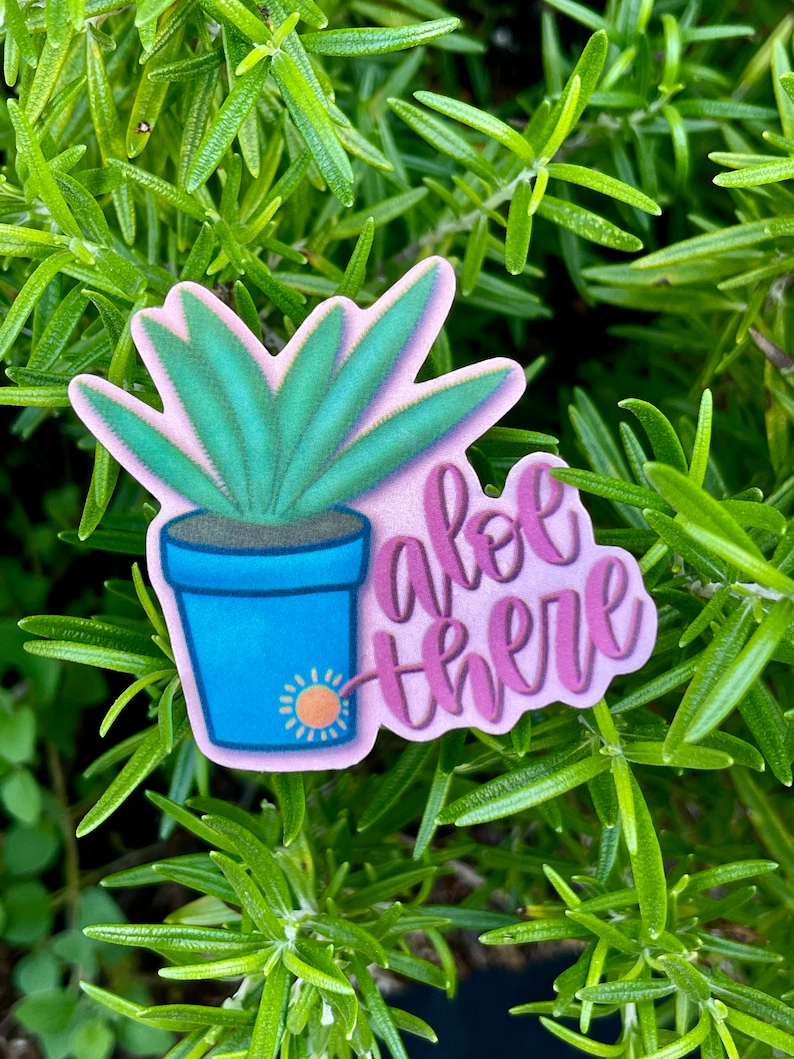 Aloe There - Illustrated Aloe Vera Plant Sticker/magnet | Matte ...
