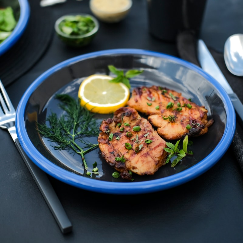 Camping Plates - Etsy