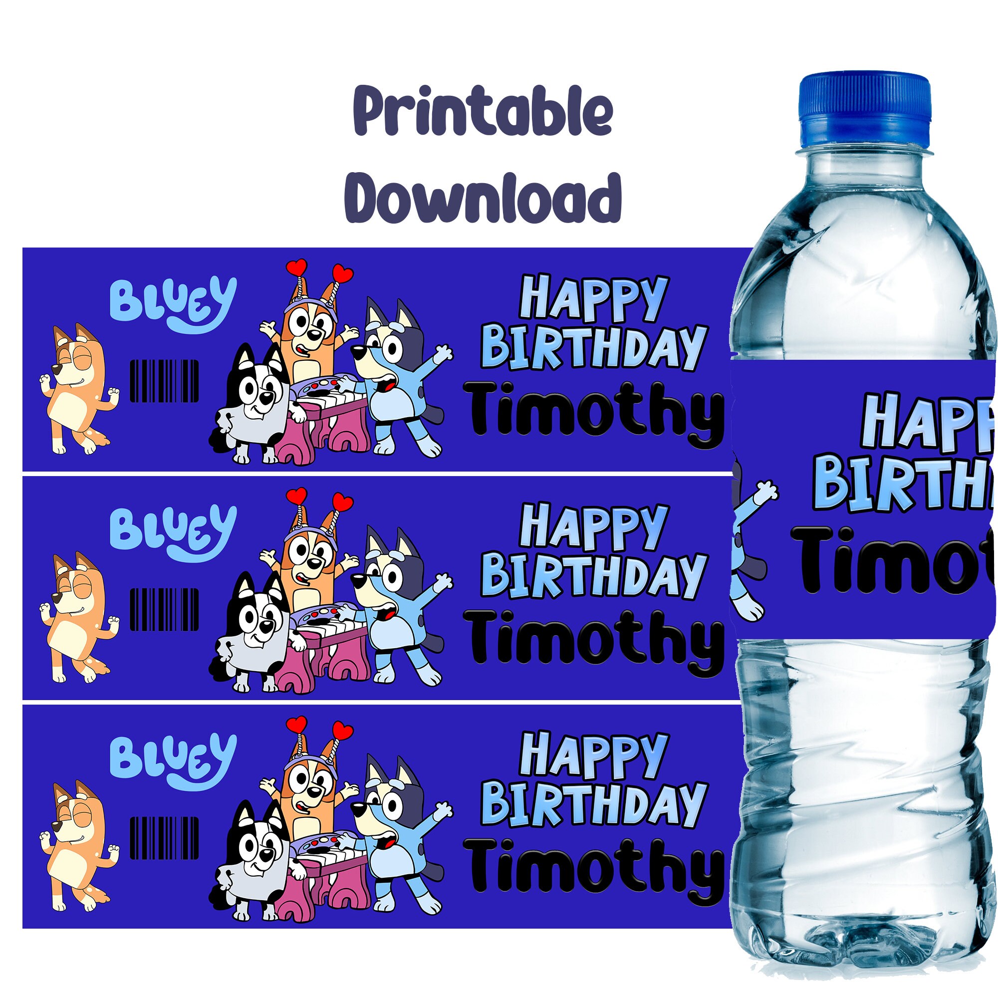 Personalized Bluey Party Happy Birthday Water Bottle Label Etsy
