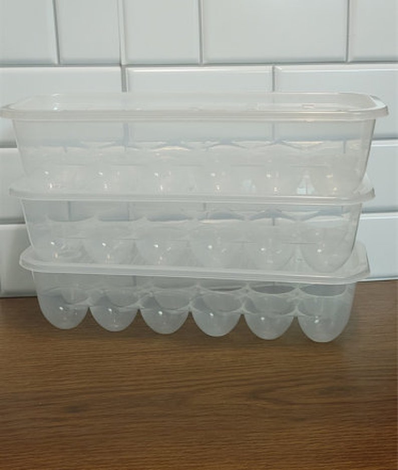Labeled Plastic Egg Carton Container, Kitchen Organizer Egg Holder ...