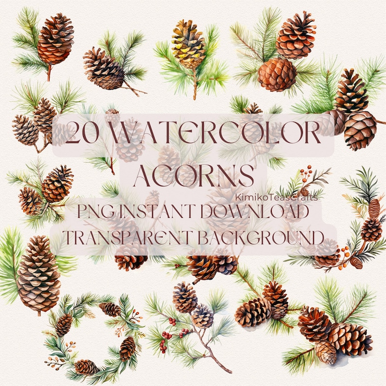 Watercolor Acorns PNG Digital Download Acorn Aesthetic Clipart Fall ...