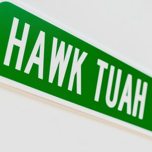 Acrylic Hawk Tuah Street Sign Spit on That Thang Funny Viral Meme ...