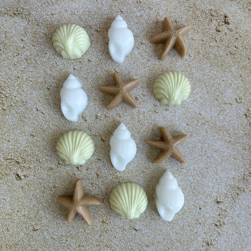 Mini Sea Shells - Etsy