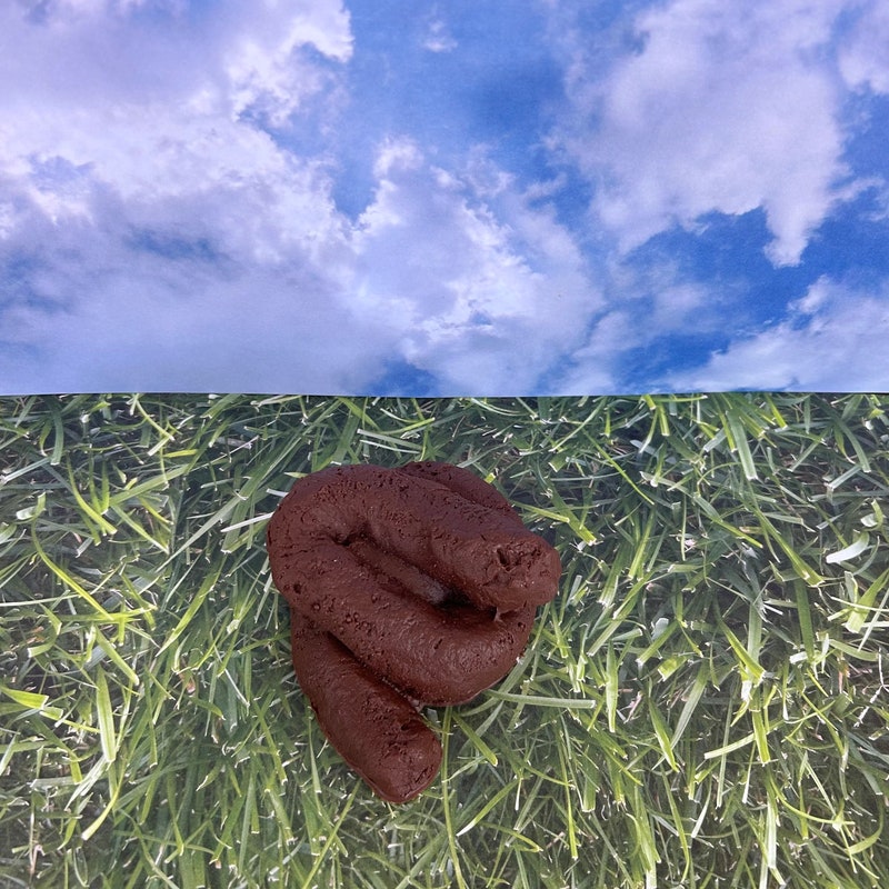 Dog Poop Soap - Etsy