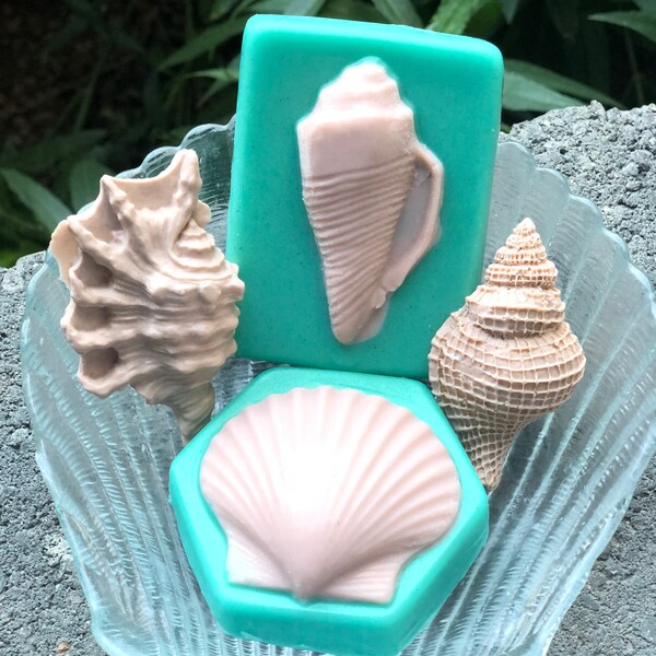 Shell Soaps - Etsy