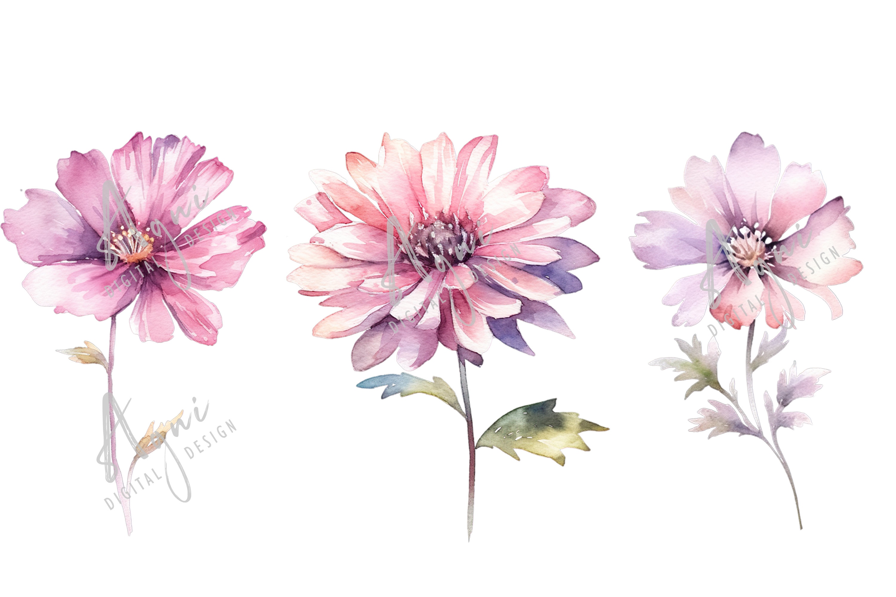 Watercolor Flowers Clipart Set / Watercolor Flowers / PNG / - Etsy