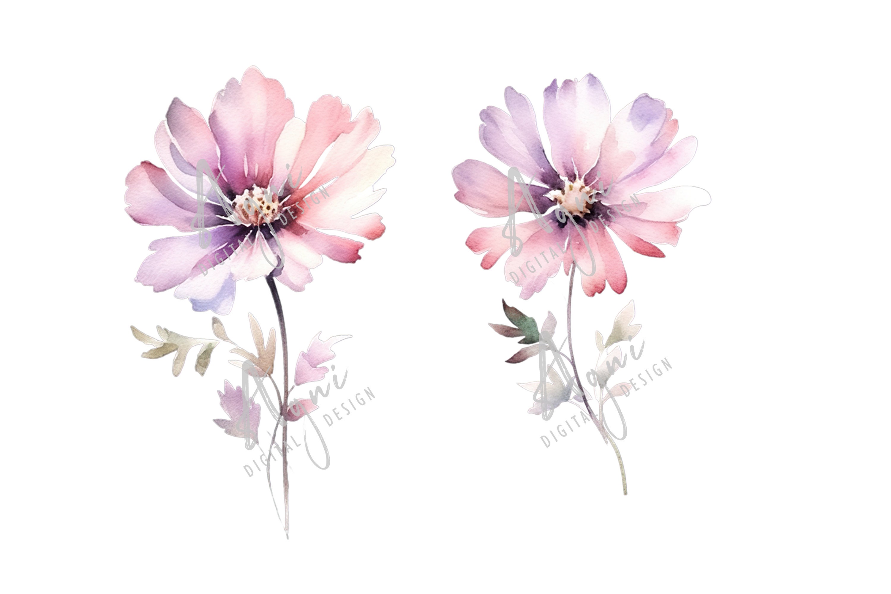 Watercolor Flowers Clipart Set / Watercolor Flowers / PNG / - Etsy